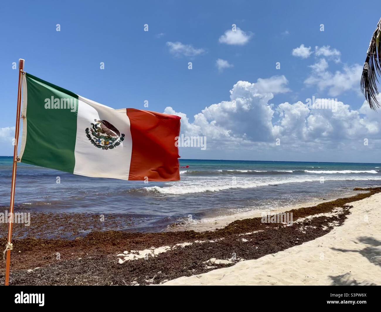 Mexican flag flying clearly on beach near Cancun with sea and seaweed ...