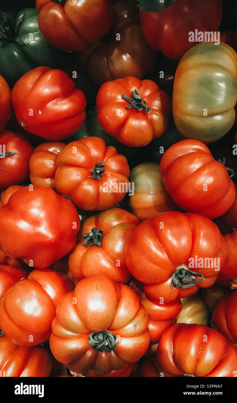 Marinda hi-res stock photography and images - Alamy