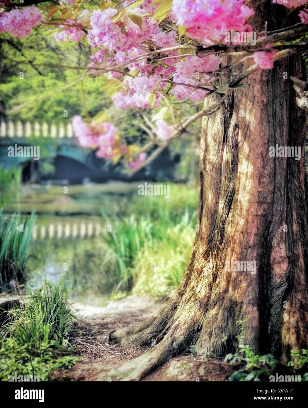 London peckham park bridge hi-res stock photography and images - Alamy