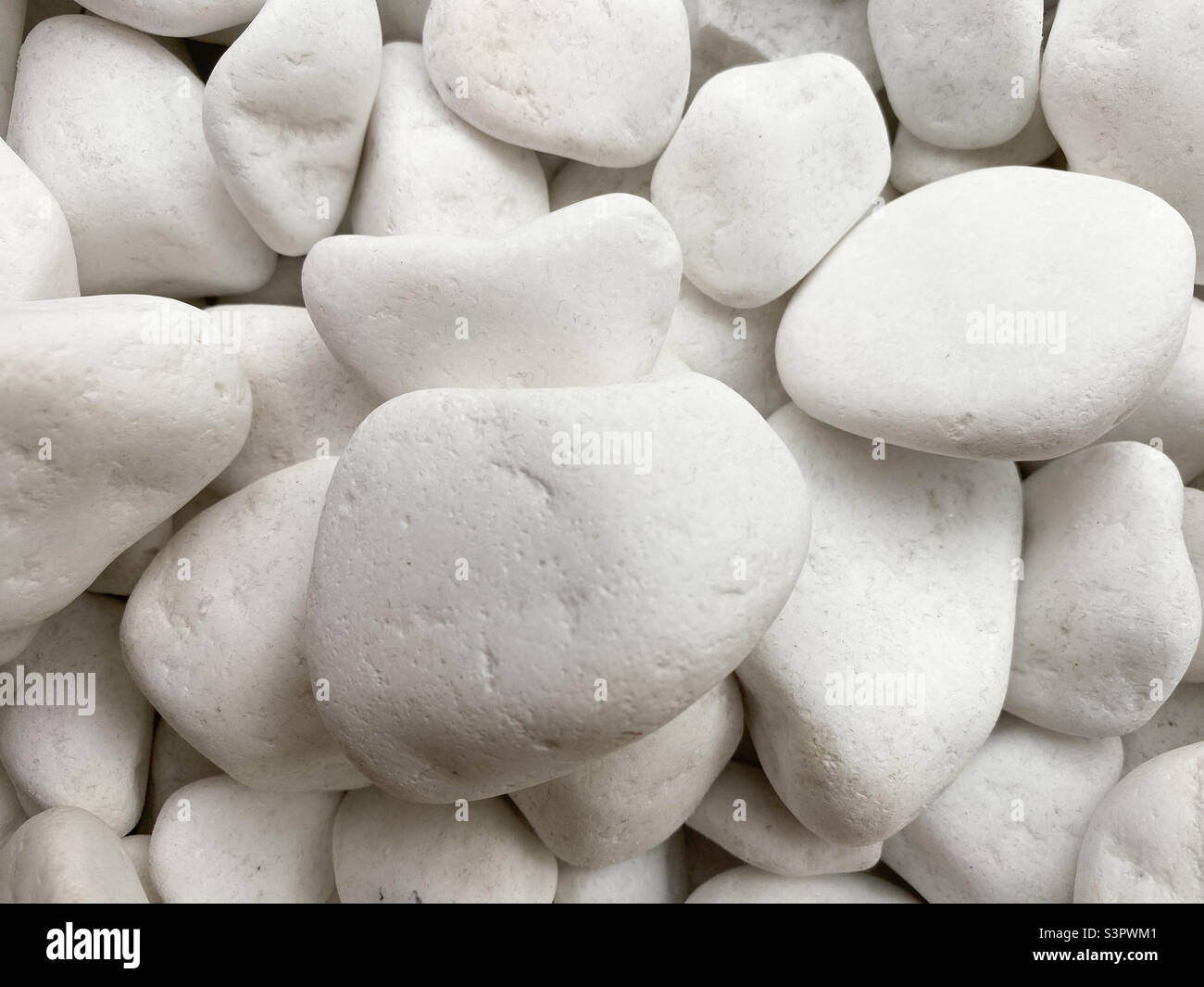The background is made of white smooth pebbles of white color. Textured ...