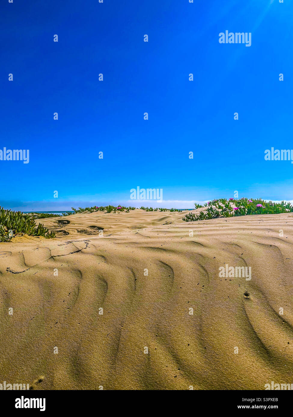 Sunshine on ocean ripples hi-res stock photography and images - Alamy