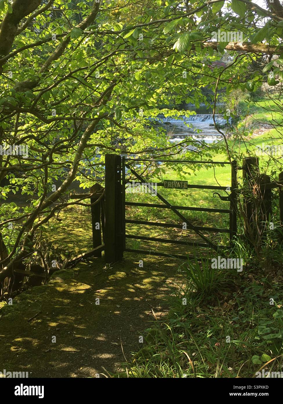 Green, nature, gate, rover, pastoral, country, peaceful Stock Photo - Alamy