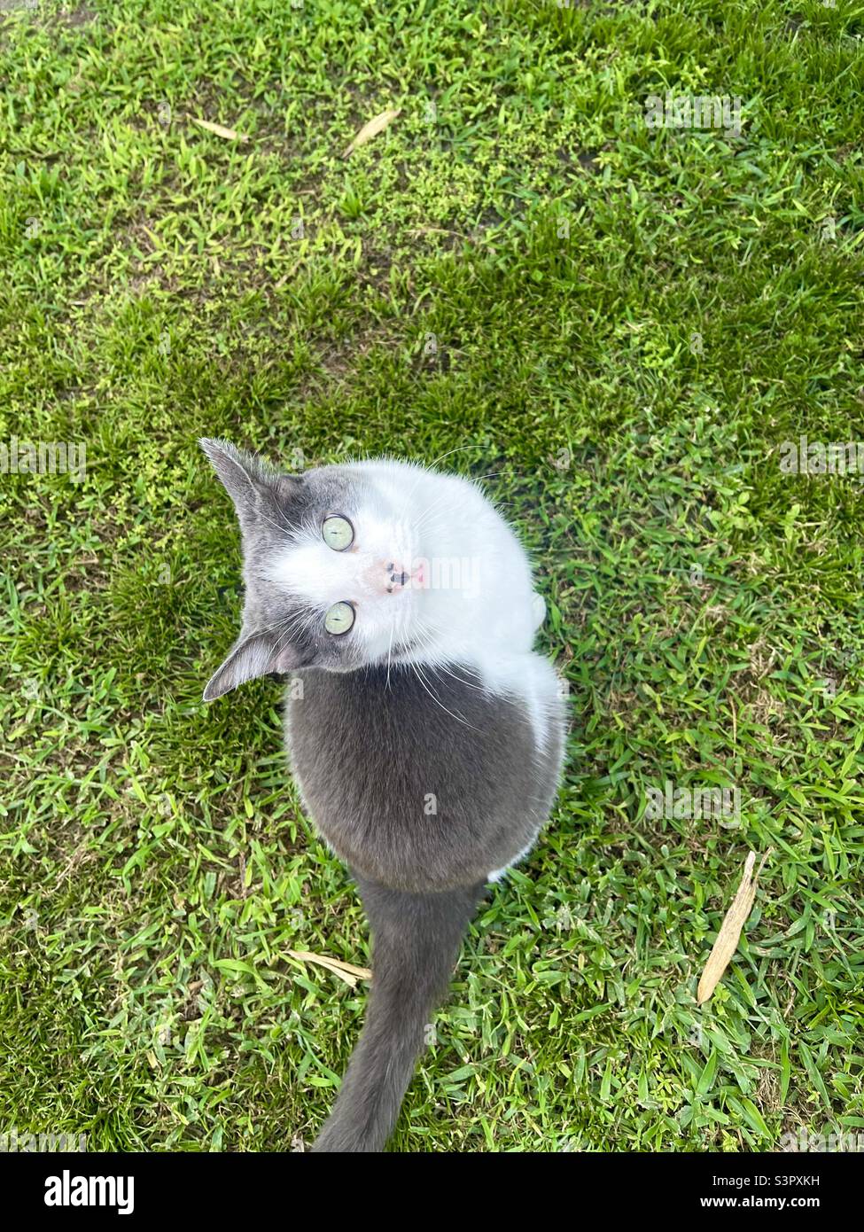 Camera facing up hi-res stock photography and images - Alamy