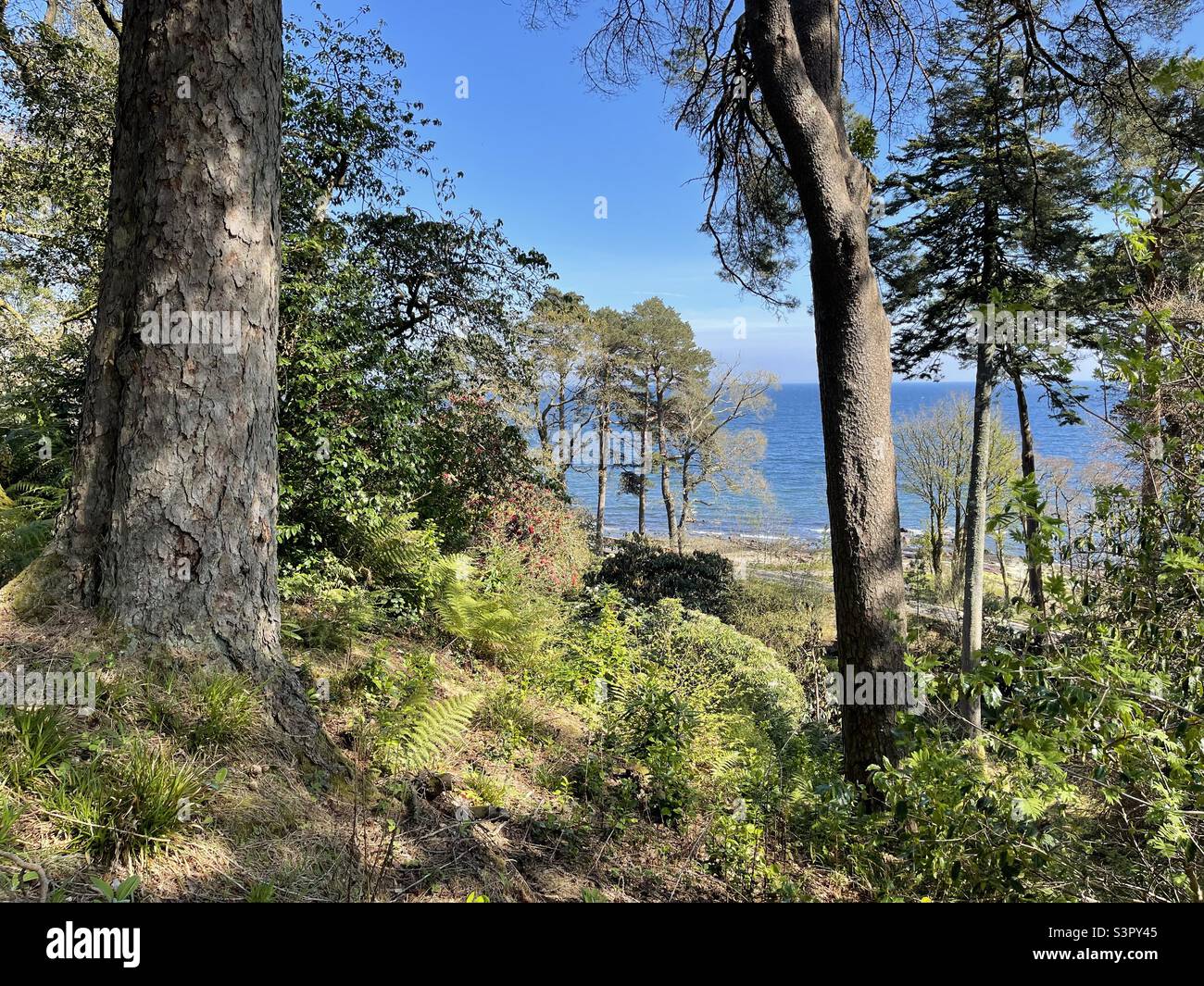 Scottish scenery hi-res stock photography and images - Alamy