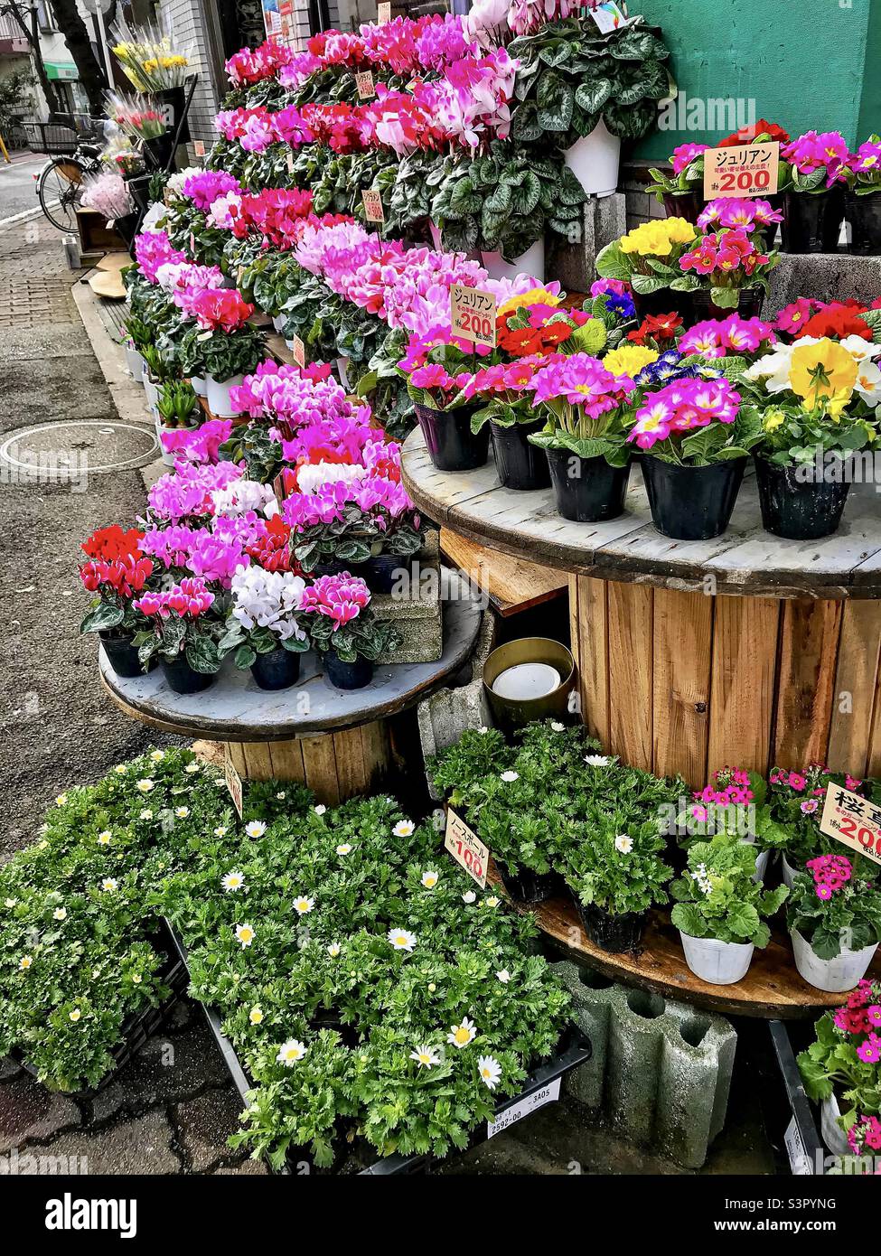 Street flowers hi-res stock photography and images - Alamy