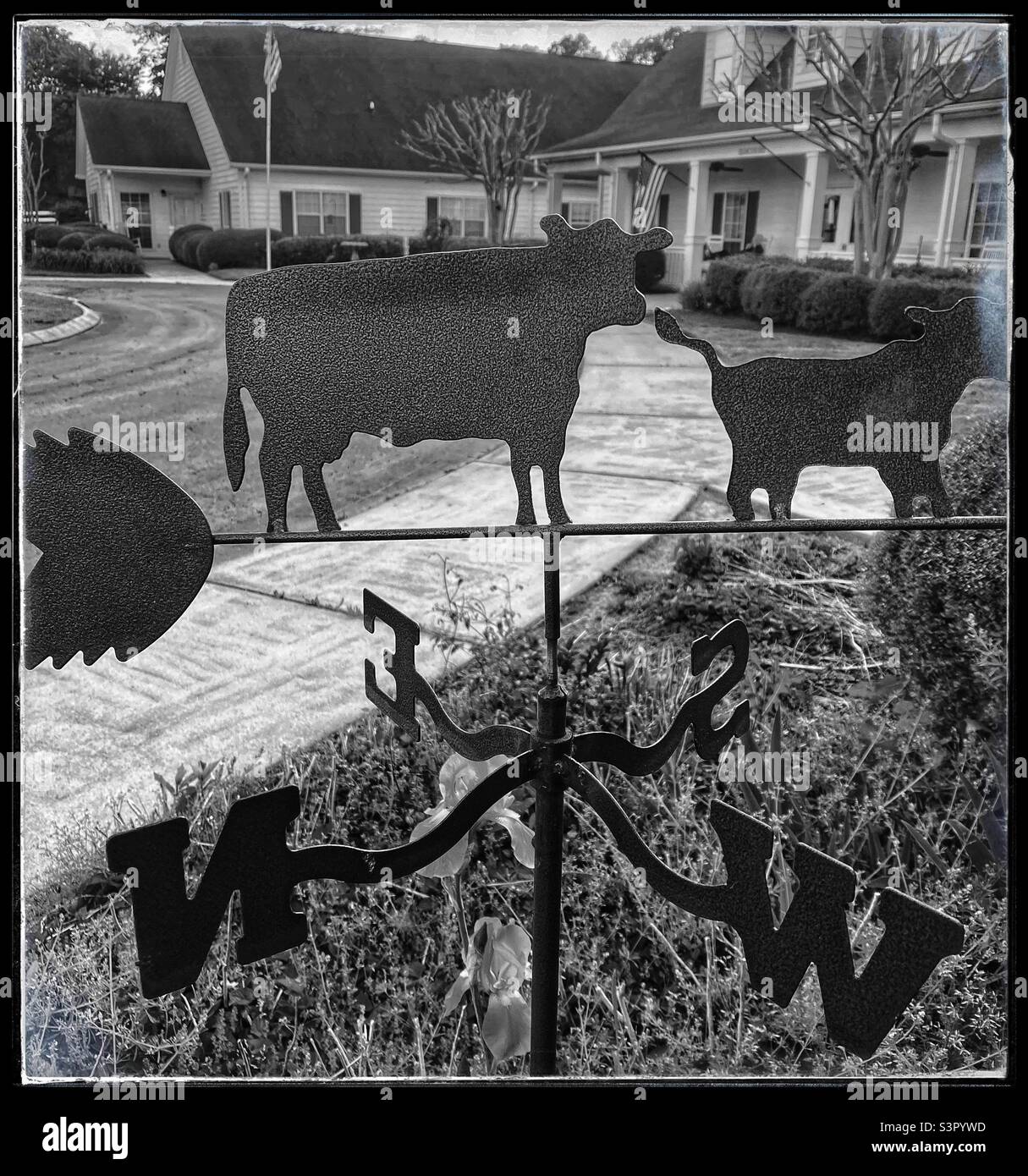 Old weathervane hi-res stock photography and images - Alamy