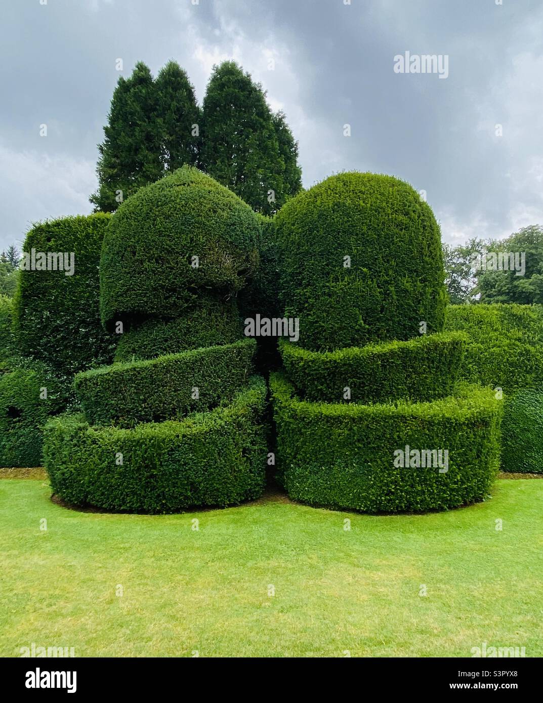 Topiary in the gardens at Highclere Castle, Hampshire, England. August ...