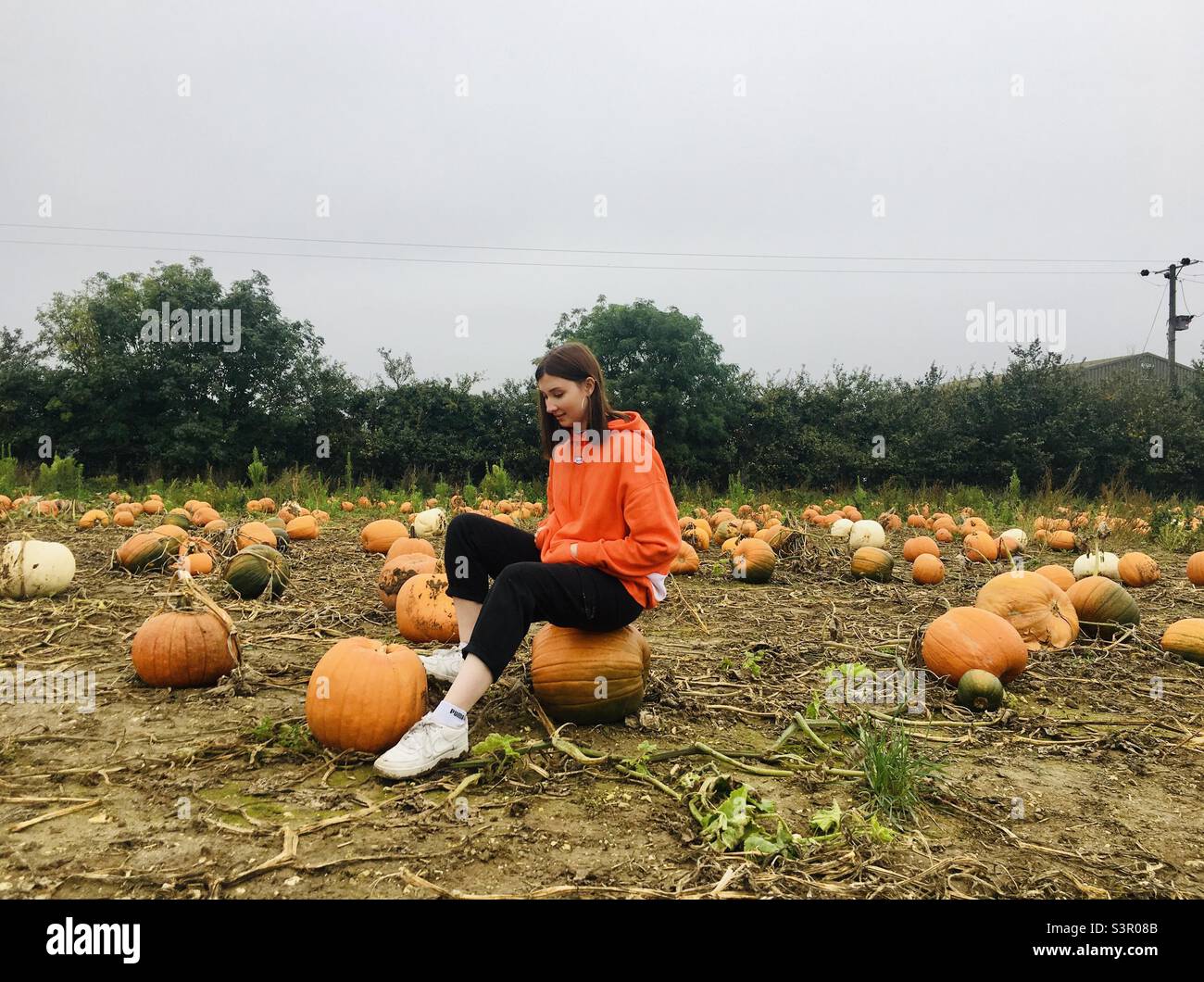 Pumpkin Patch Photography Tumblr