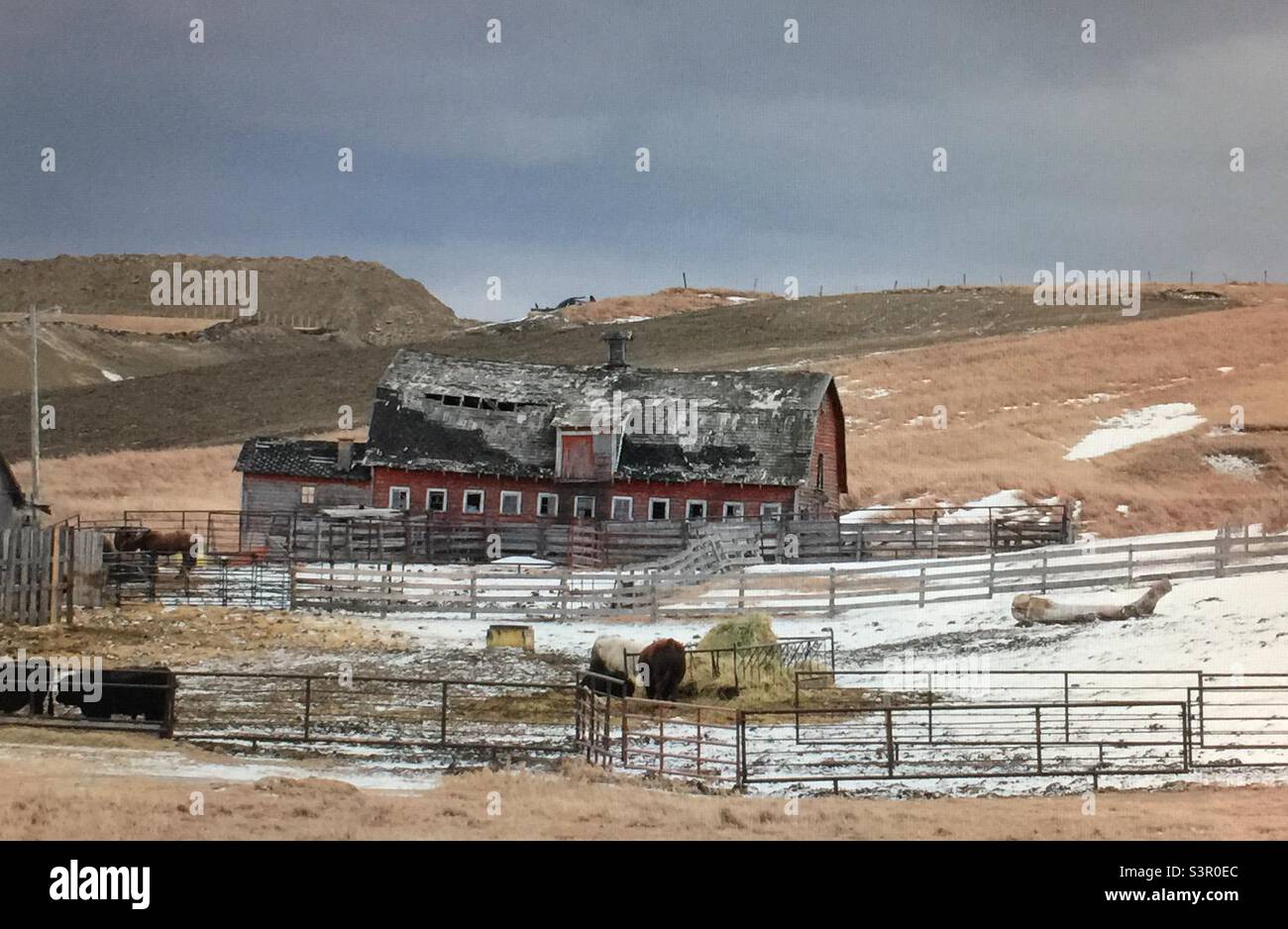 Barn, historic, old, tired, coral, cattle, ranch, farm, agriculture ...