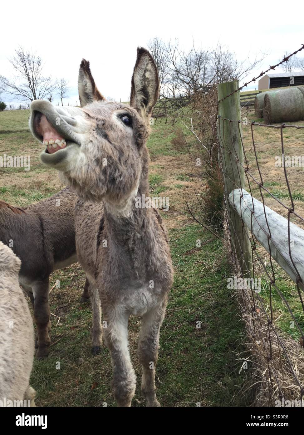 Side eye hi-res stock photography and images - Alamy