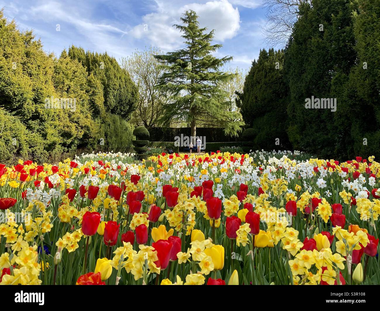 Beautiful spring flowers hi-res stock photography and images - Alamy