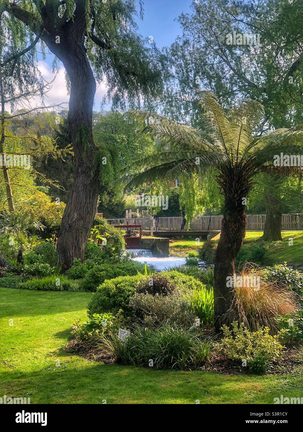 The Weirs River Itchen Navigation Winchester Hampshire UK Springtime ...