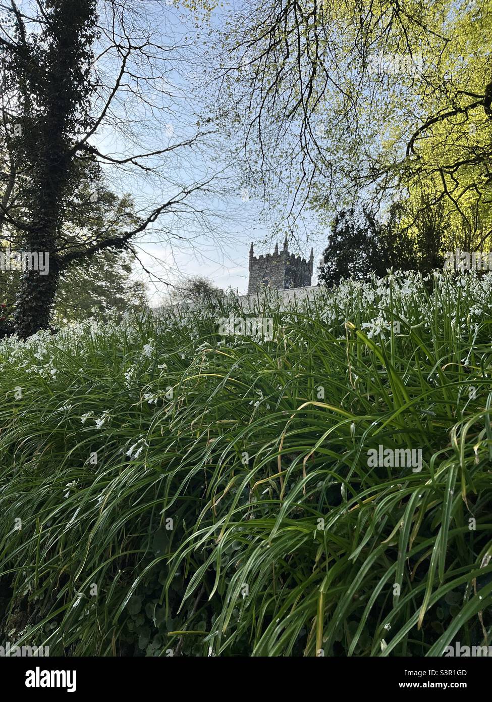 Veryan hi-res stock photography and images - Alamy