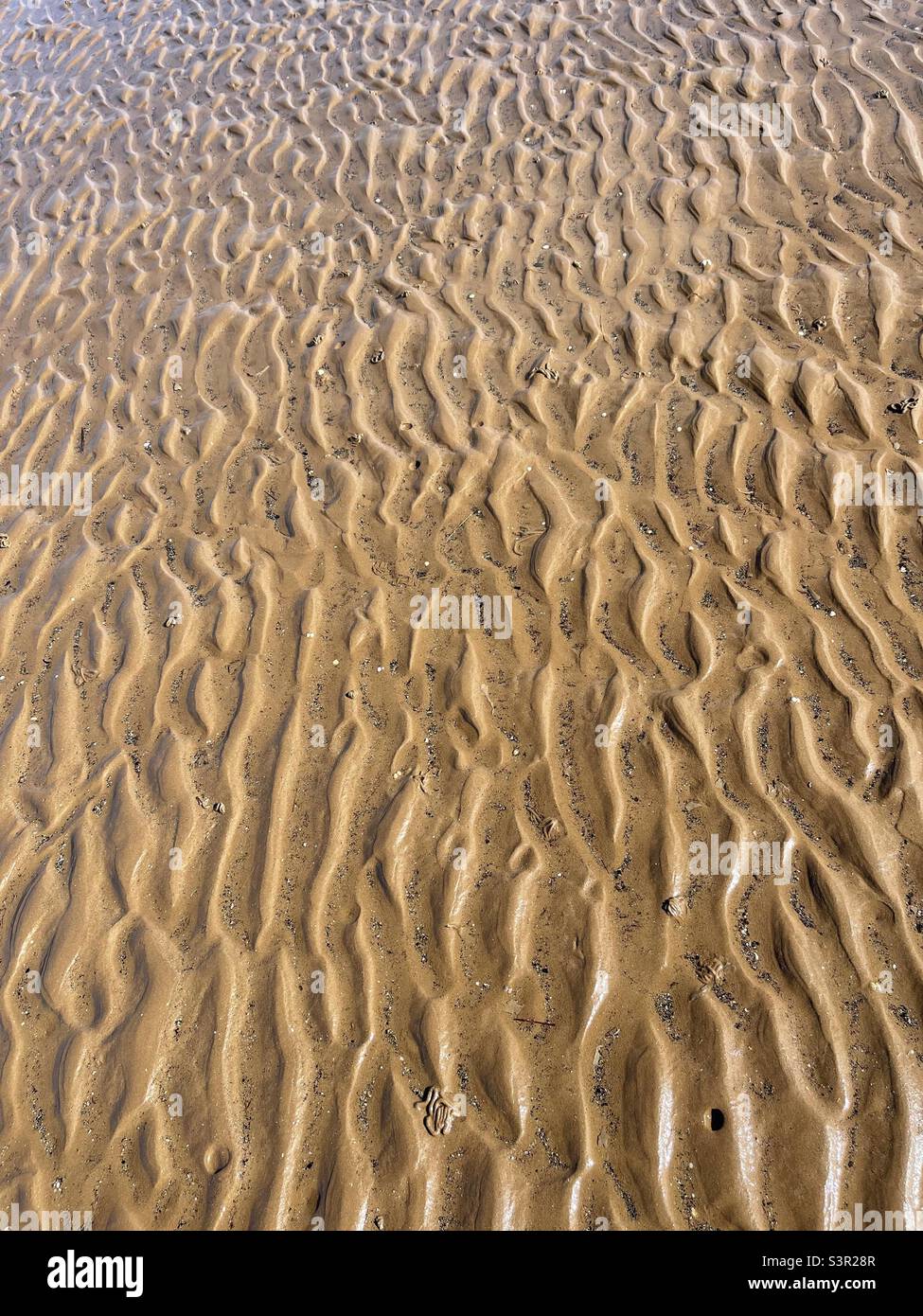 Beach marks hi-res stock photography and images - Alamy
