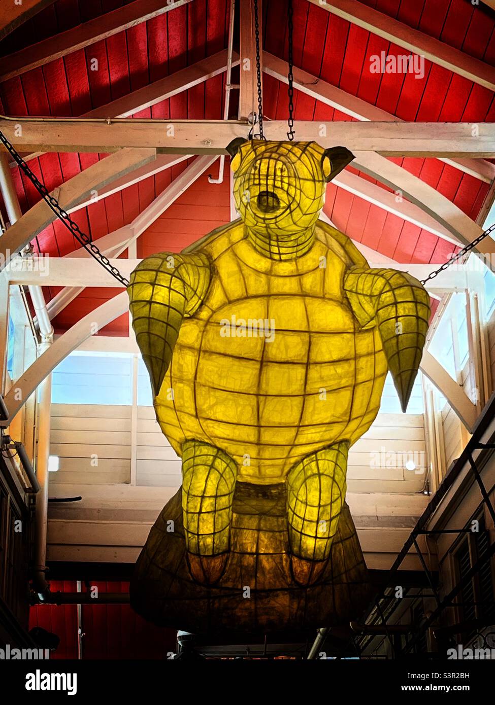 Mock turtle hi-res stock photography and images - Alamy