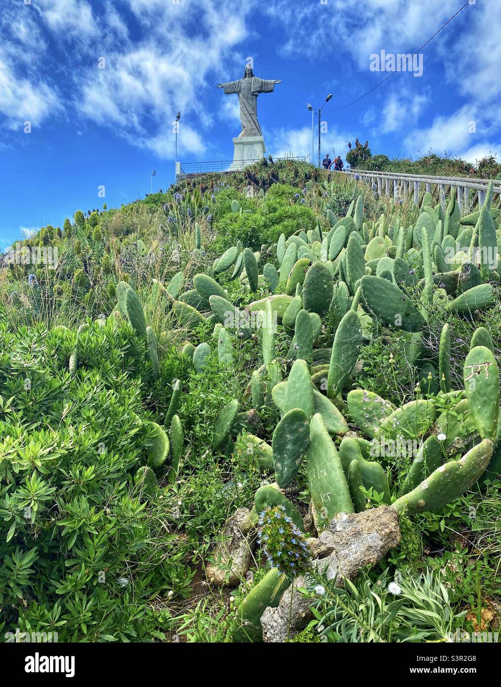 Garajau madeira hi-res stock photography and images - Alamy