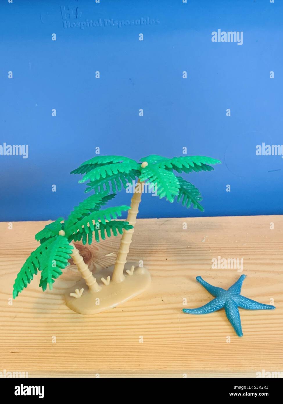 Beach play set with print space. Two palm trees and starfish in the ...