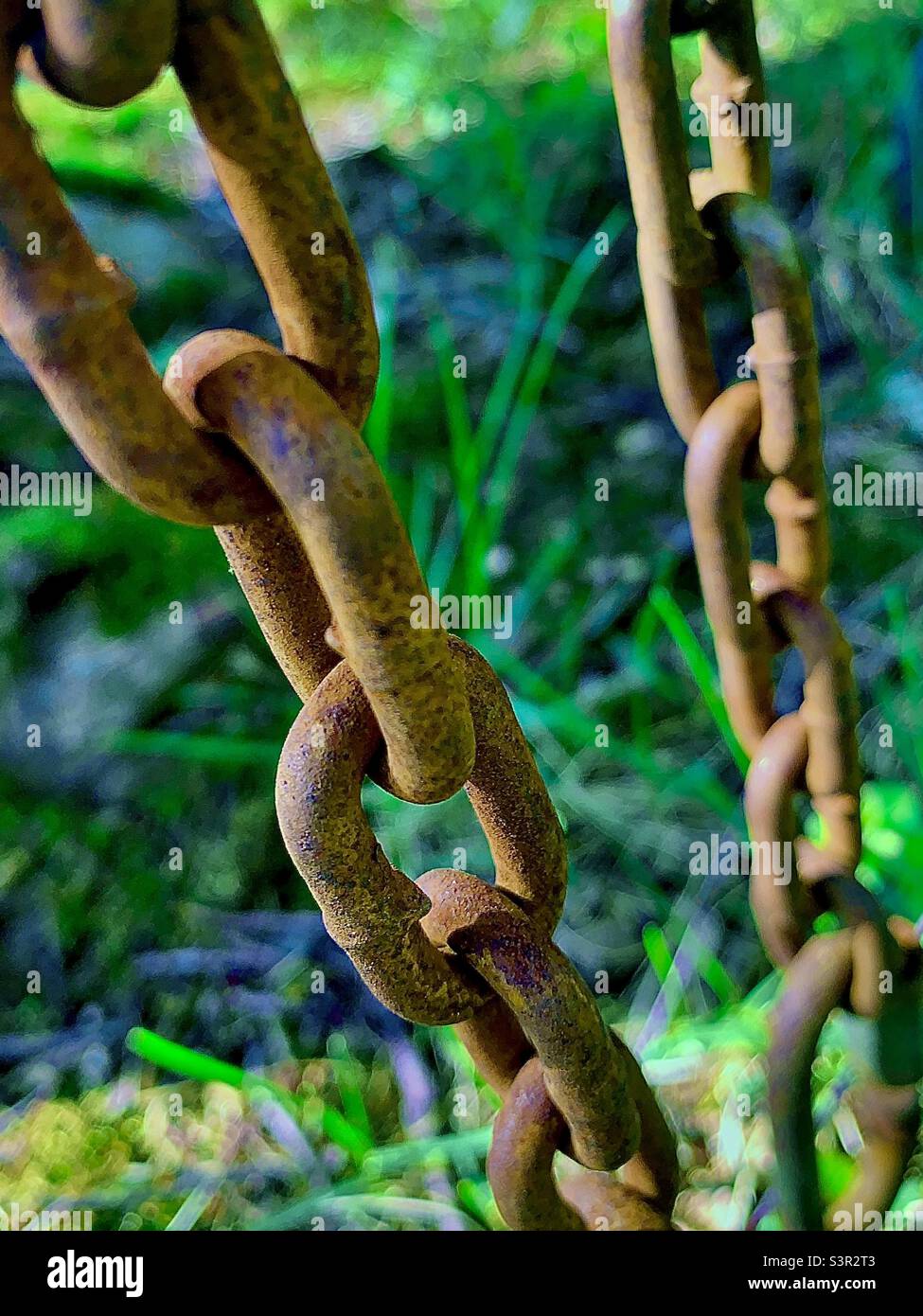 Two rusty chains in foreground against natural green background Stock ...