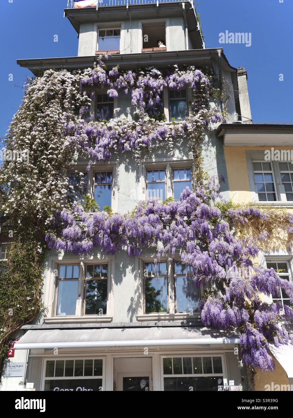 Purple building hi-res stock photography and images - Alamy