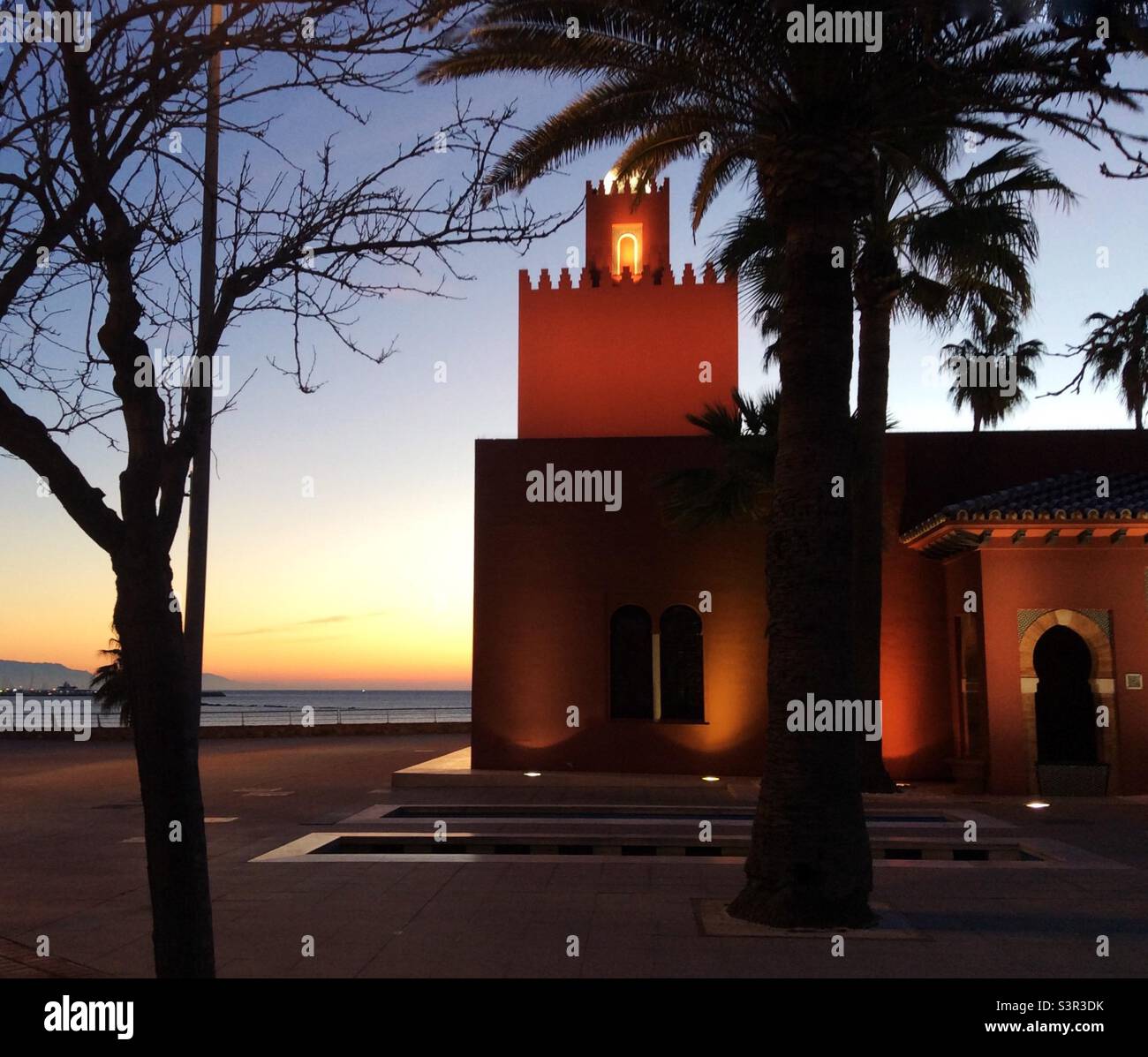 Rising tree silhouette hi-res stock photography and images - Alamy