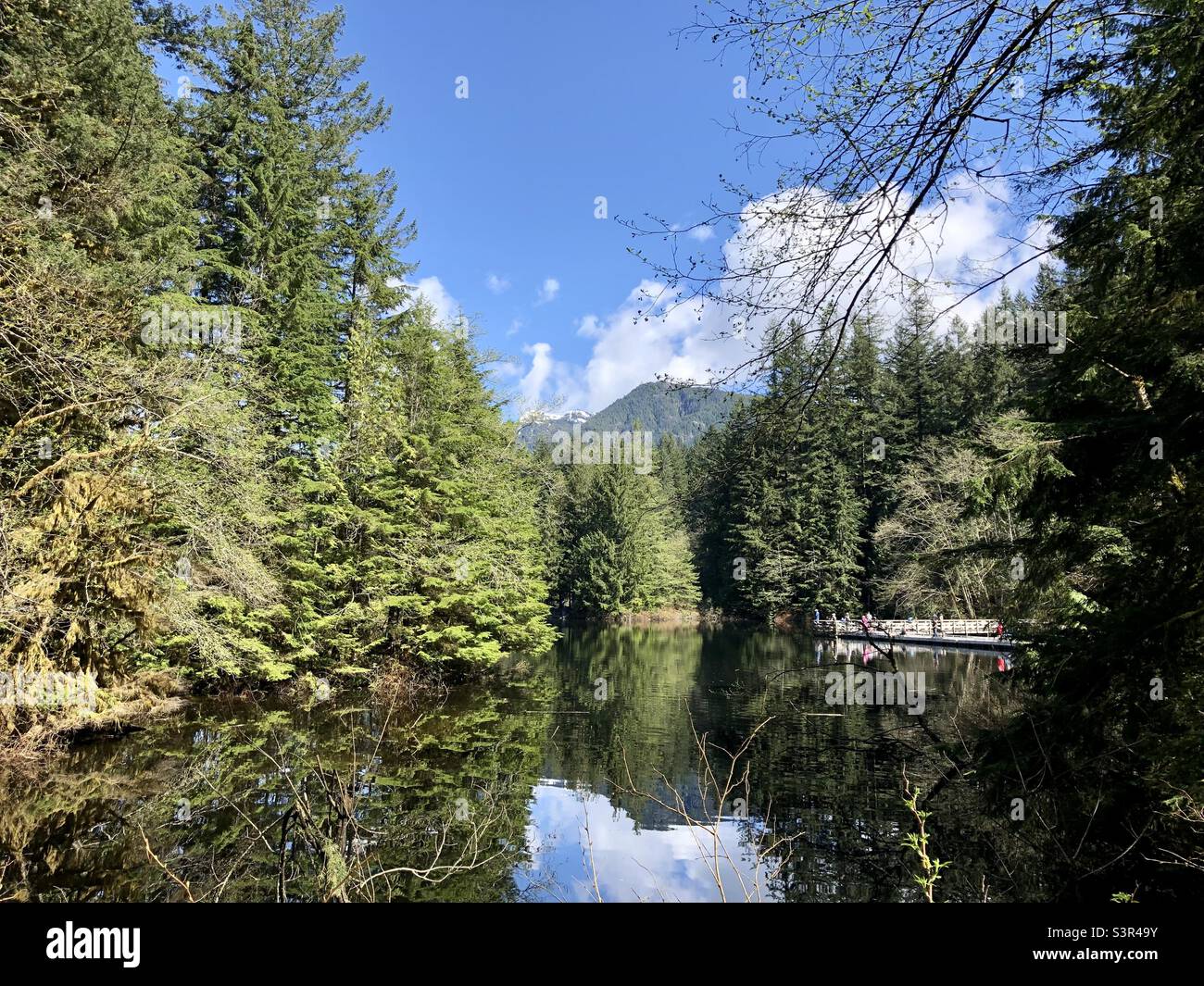 Rice lake north hi-res stock photography and images - Alamy