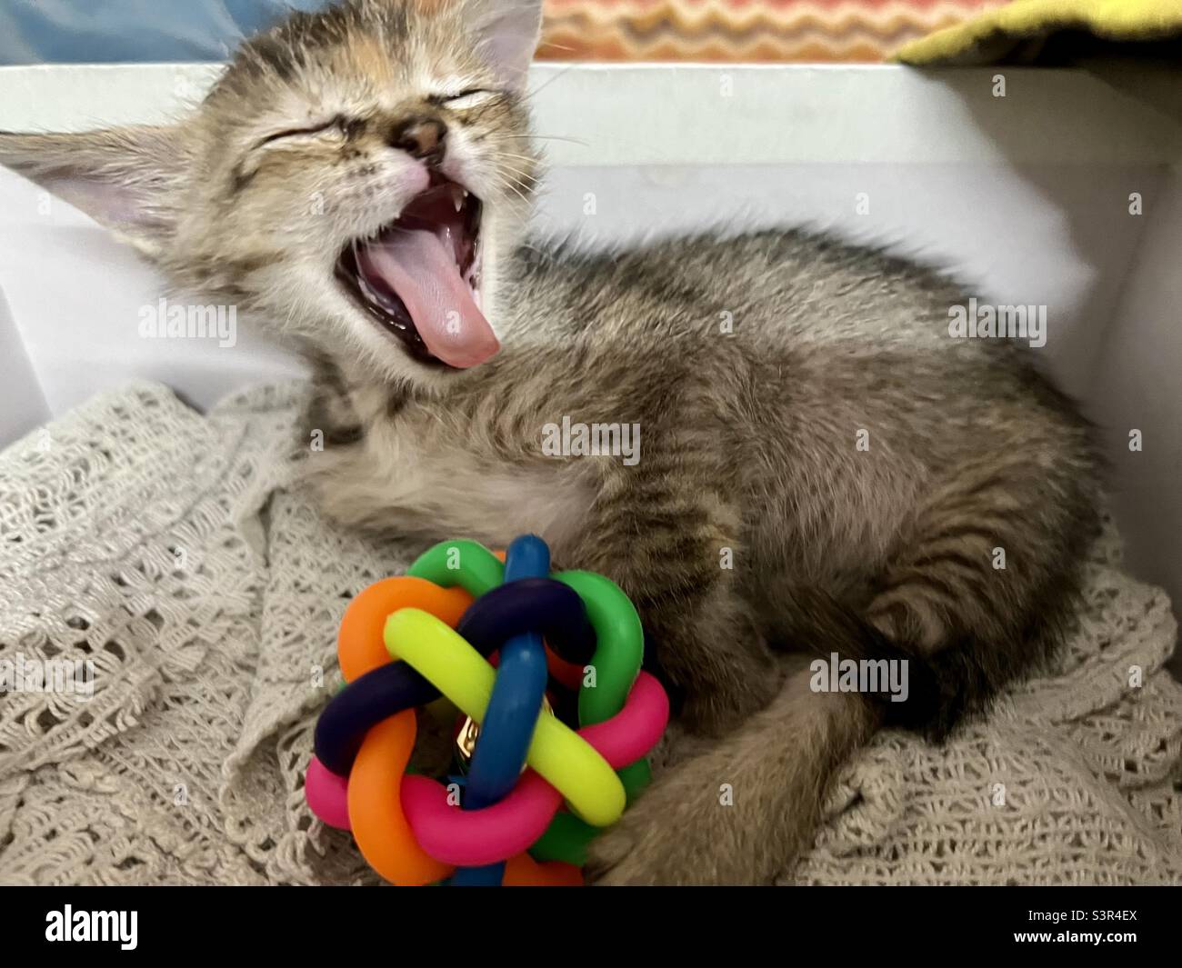 Sleepy yawn hi-res stock photography and images - Alamy