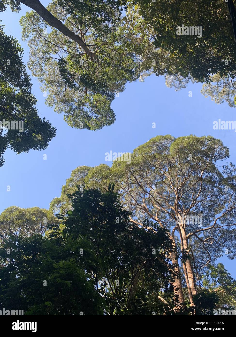 Maxwell hill malaysia hi-res stock photography and images - Alamy