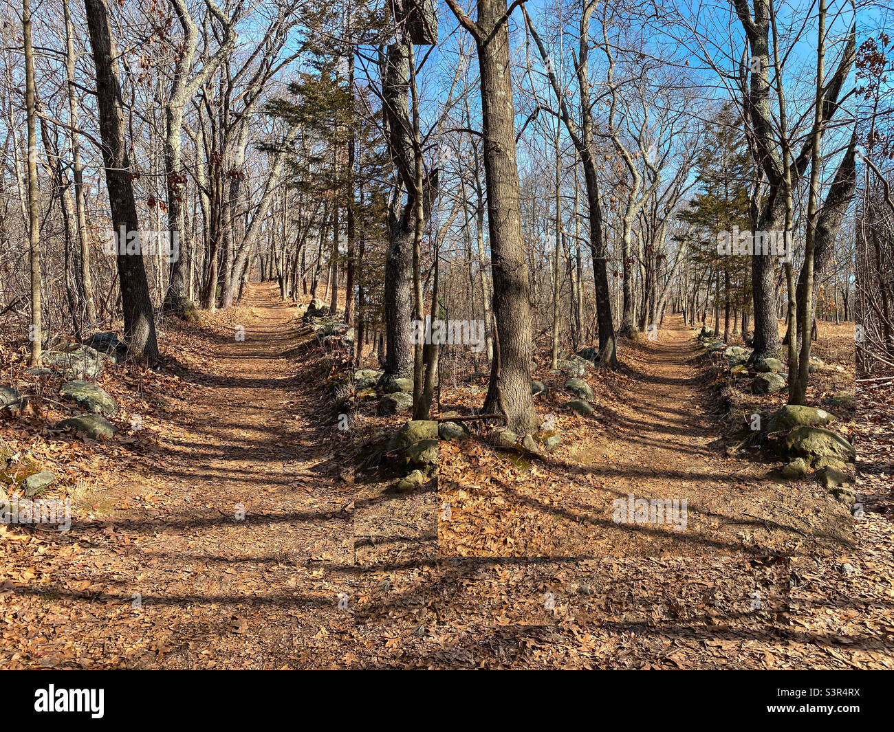 Multiple paths hi-res stock photography and images - Alamy