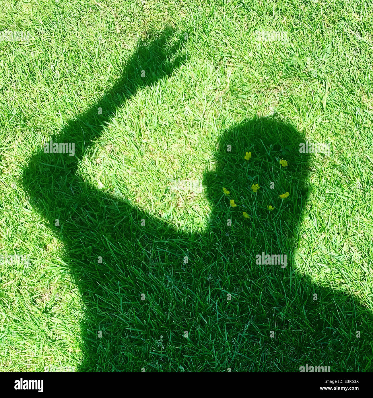 Happy shadow hi-res stock photography and images - Alamy