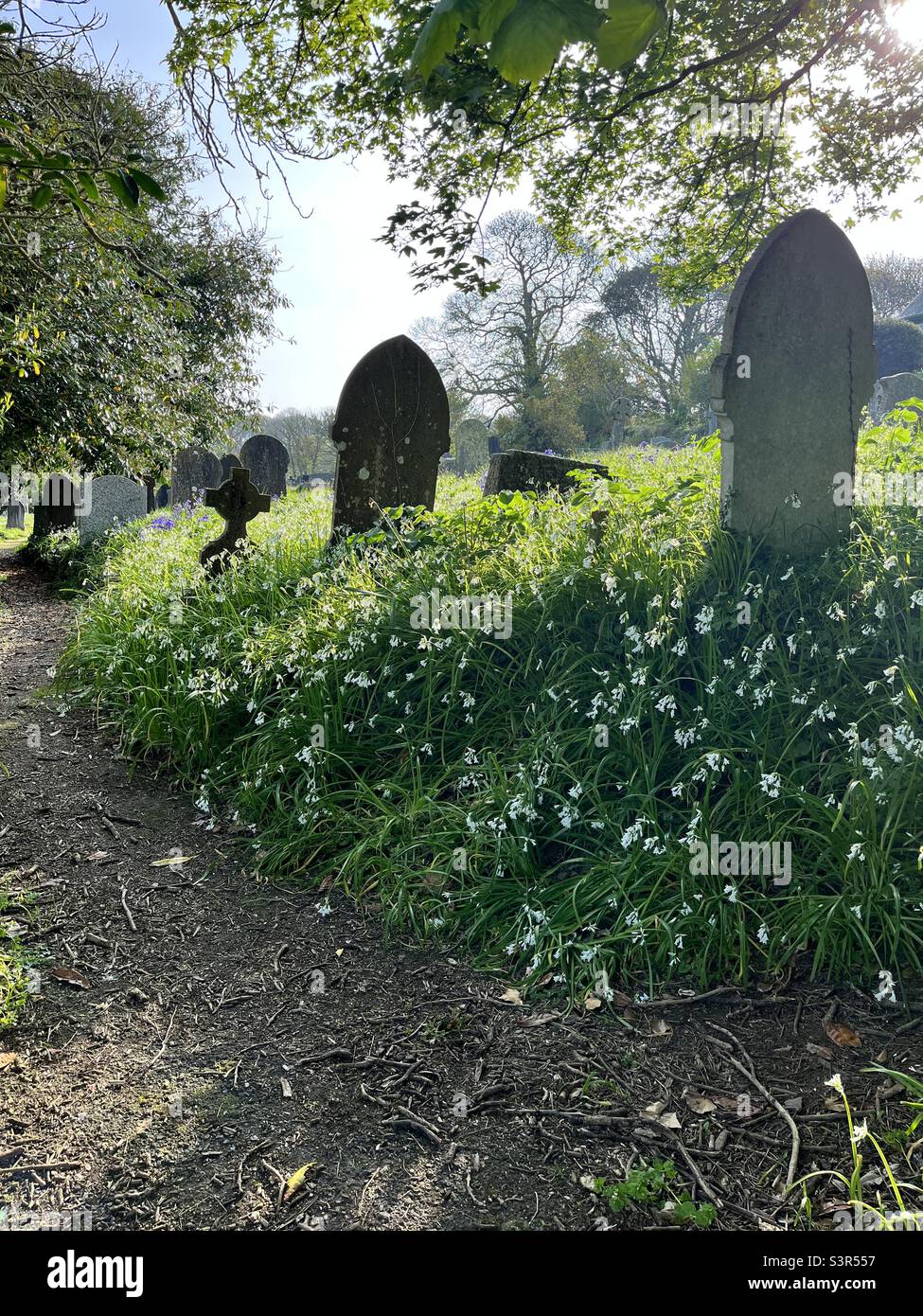 Veryan hi-res stock photography and images - Alamy