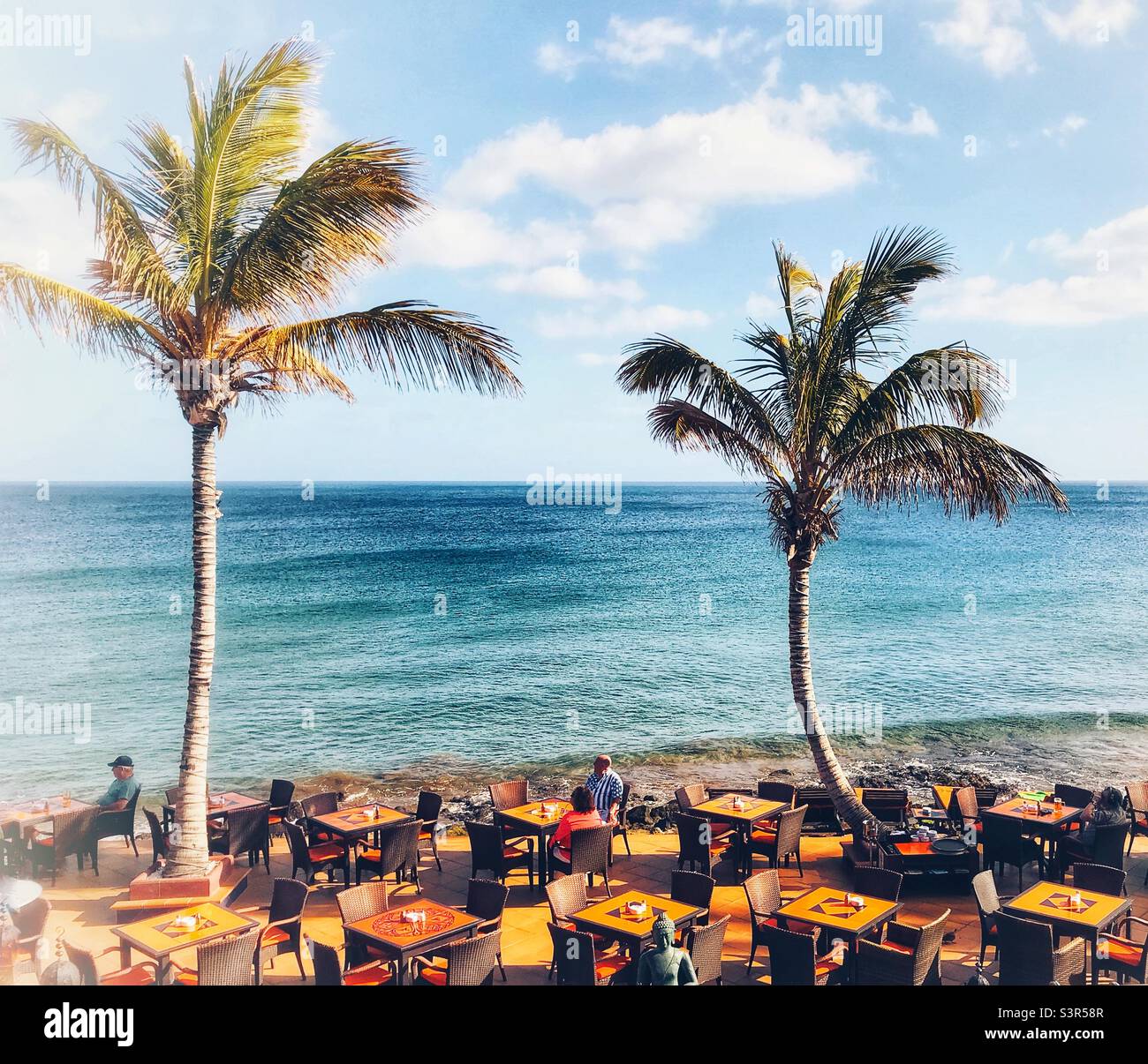 Dining tree hi-res stock photography and images - Alamy