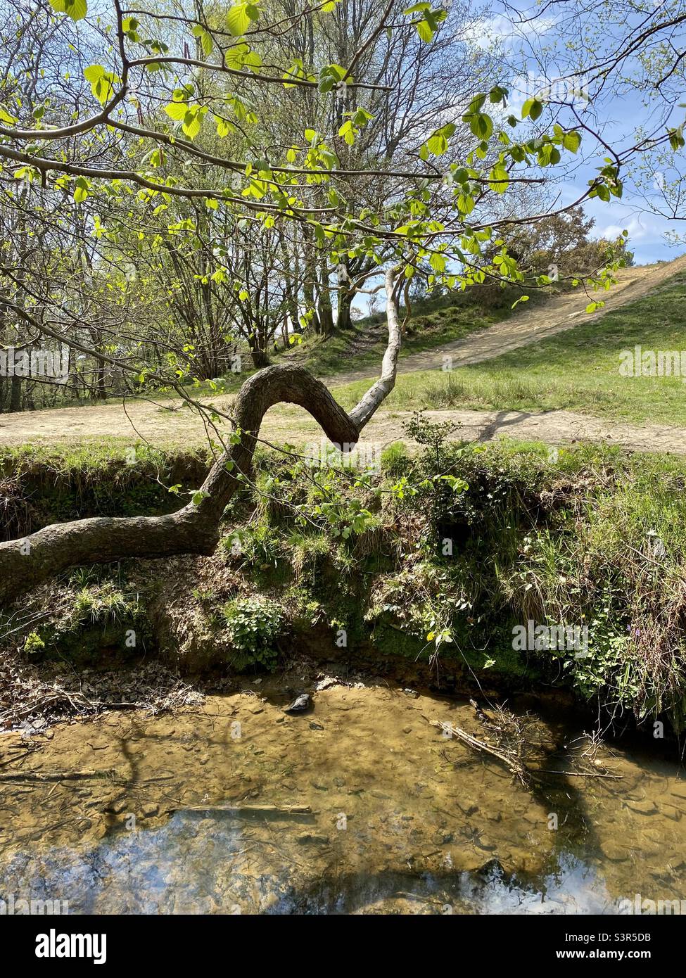 Long hot dry summer hi-res stock photography and images - Alamy