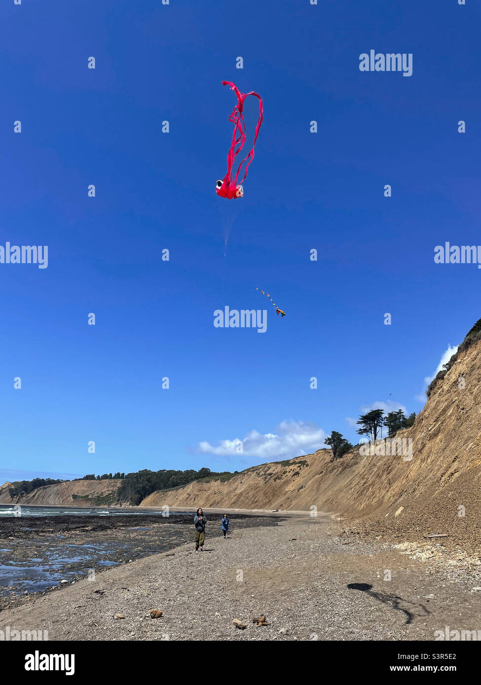 Flying kites on a beach in California Stock Photo - Alamy