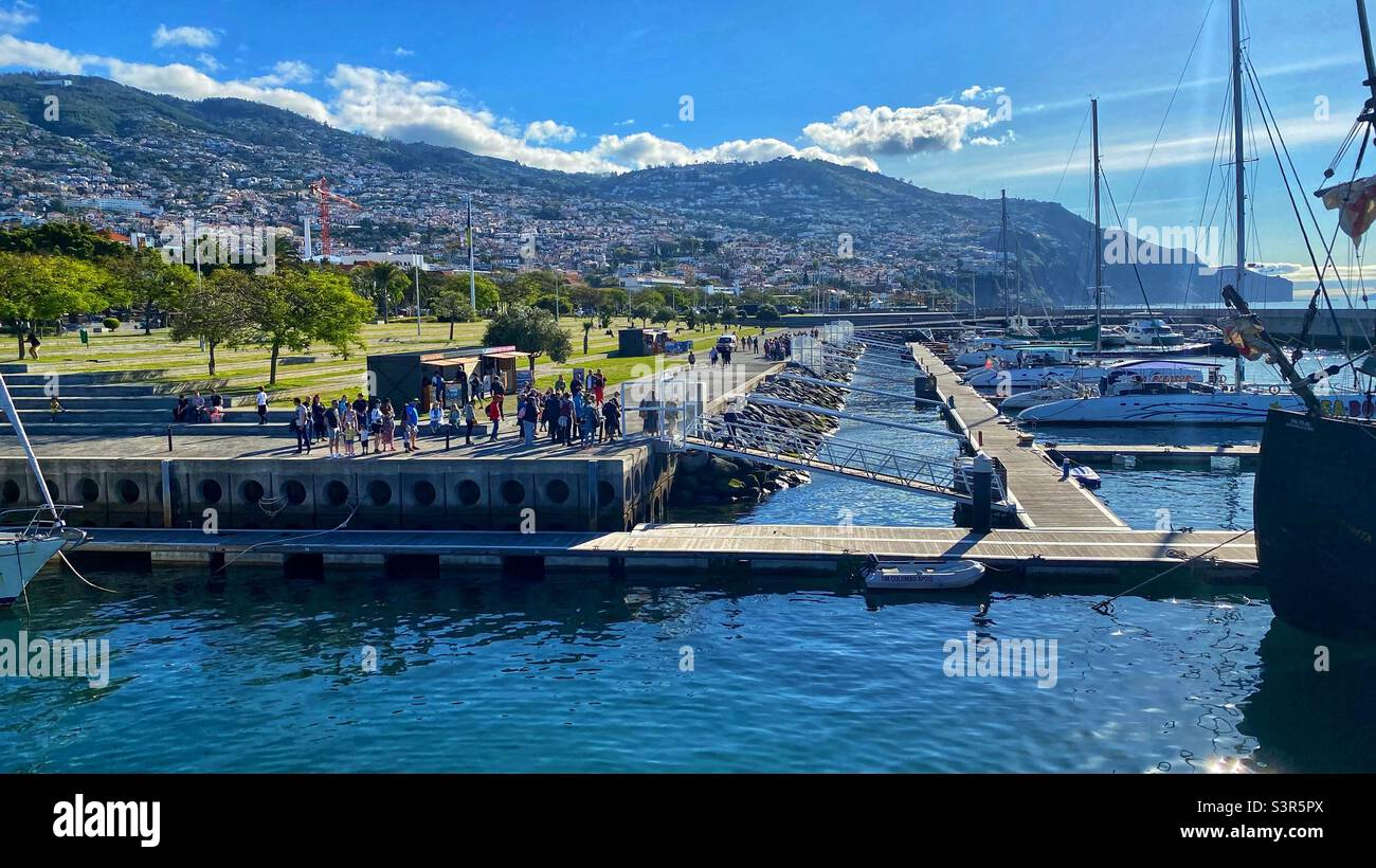 Funchal marina. Madeira Stock Photo - Alamy