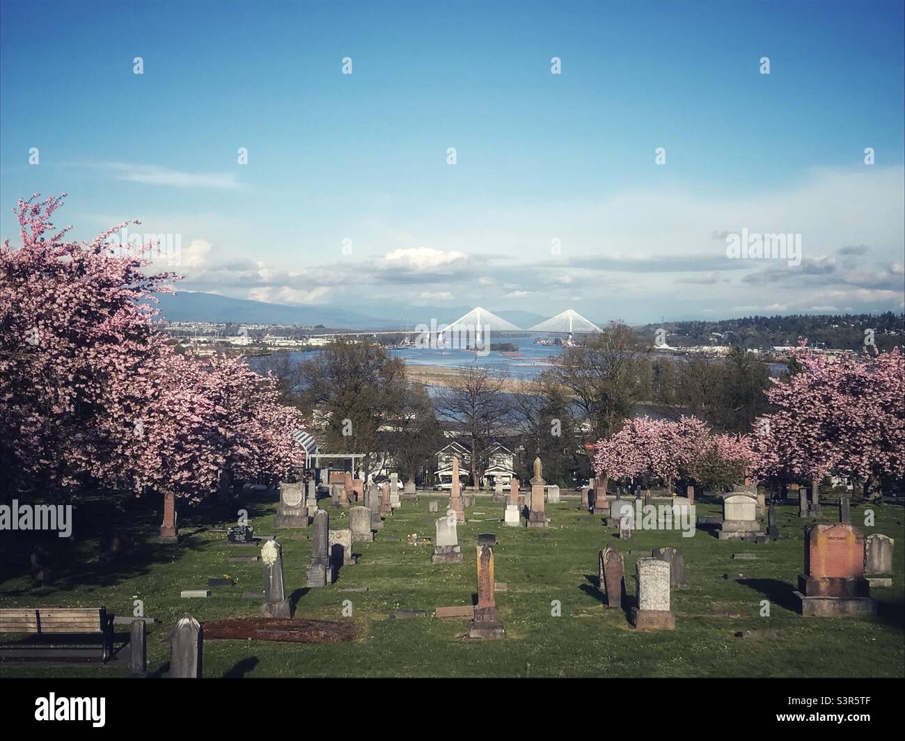 Cemetery in New Westminster, BC, with blooming cherry trees and the ...