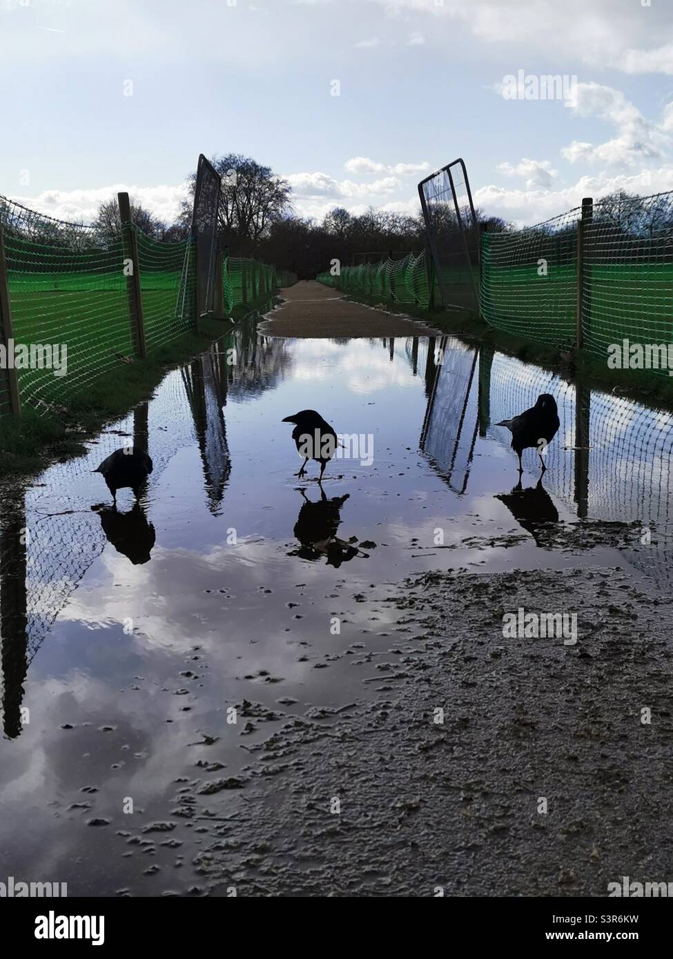 Water puddle hi-res stock photography and images - Alamy