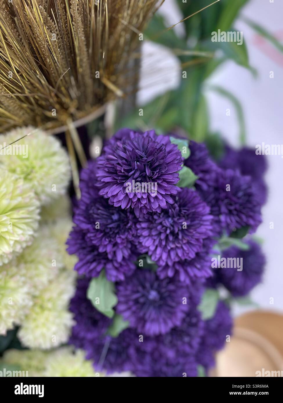 Very good flower hi-res stock photography and images - Alamy