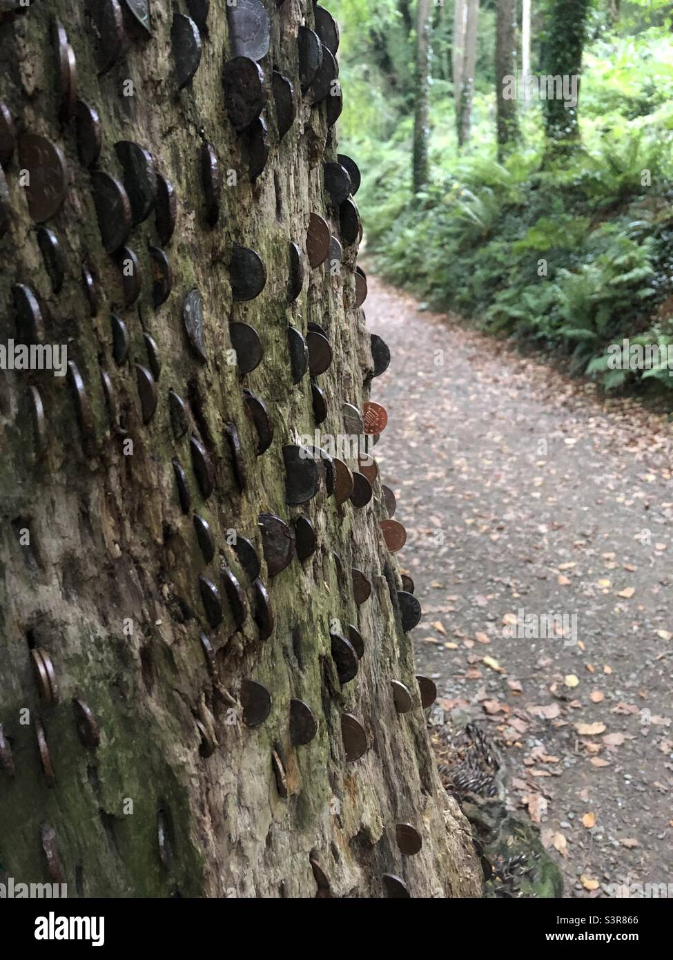 Magic money tree hi-res stock photography and images - Alamy