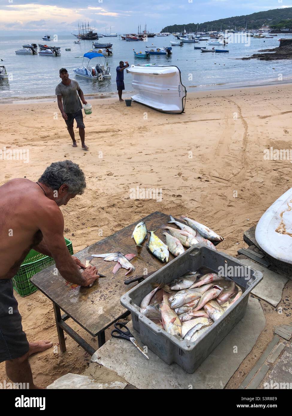 Catch of the day in Buzios, Brazil Stock Photo - Alamy