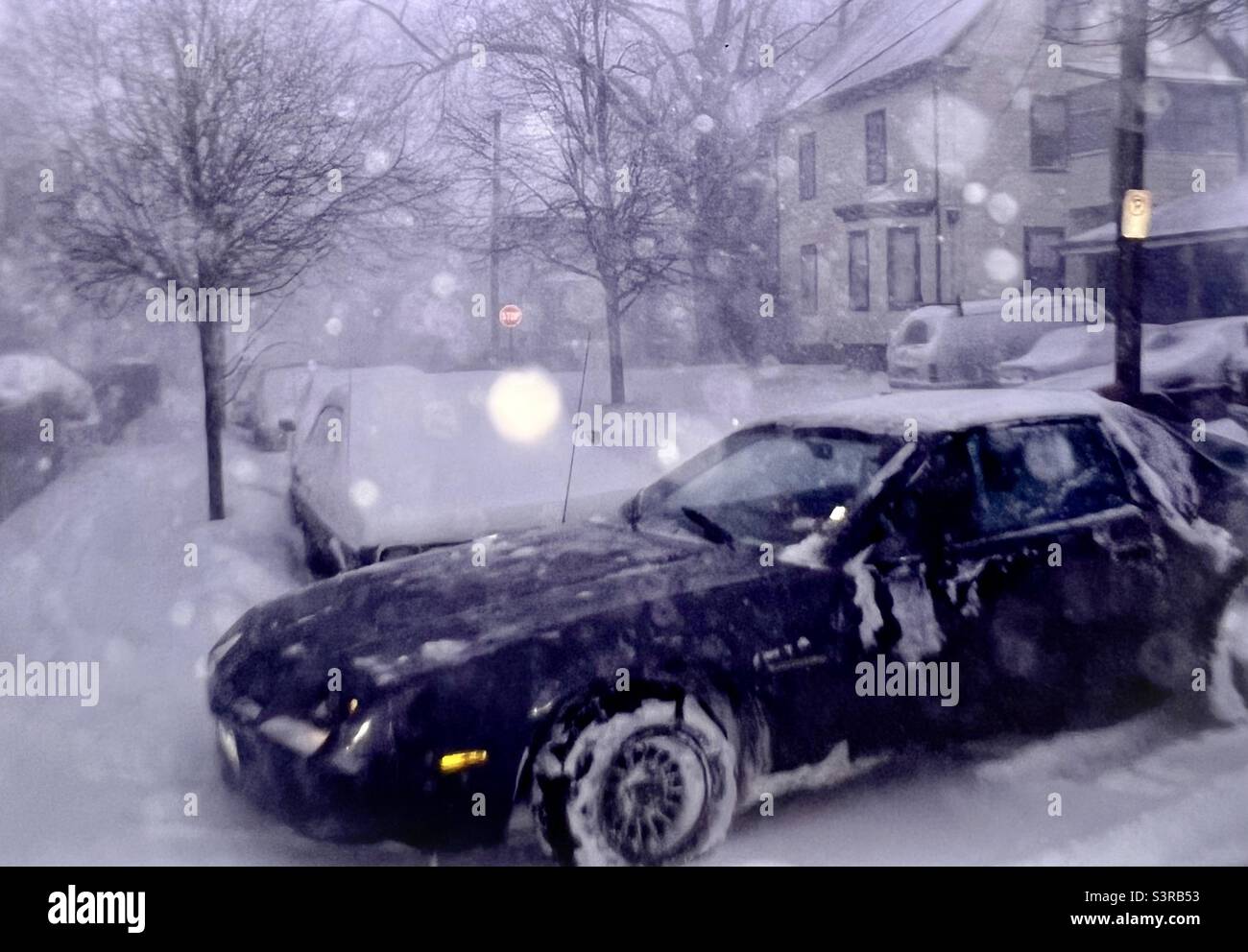 Blizzard in Boston with car trying to enter driveway Stock Photo - Alamy
