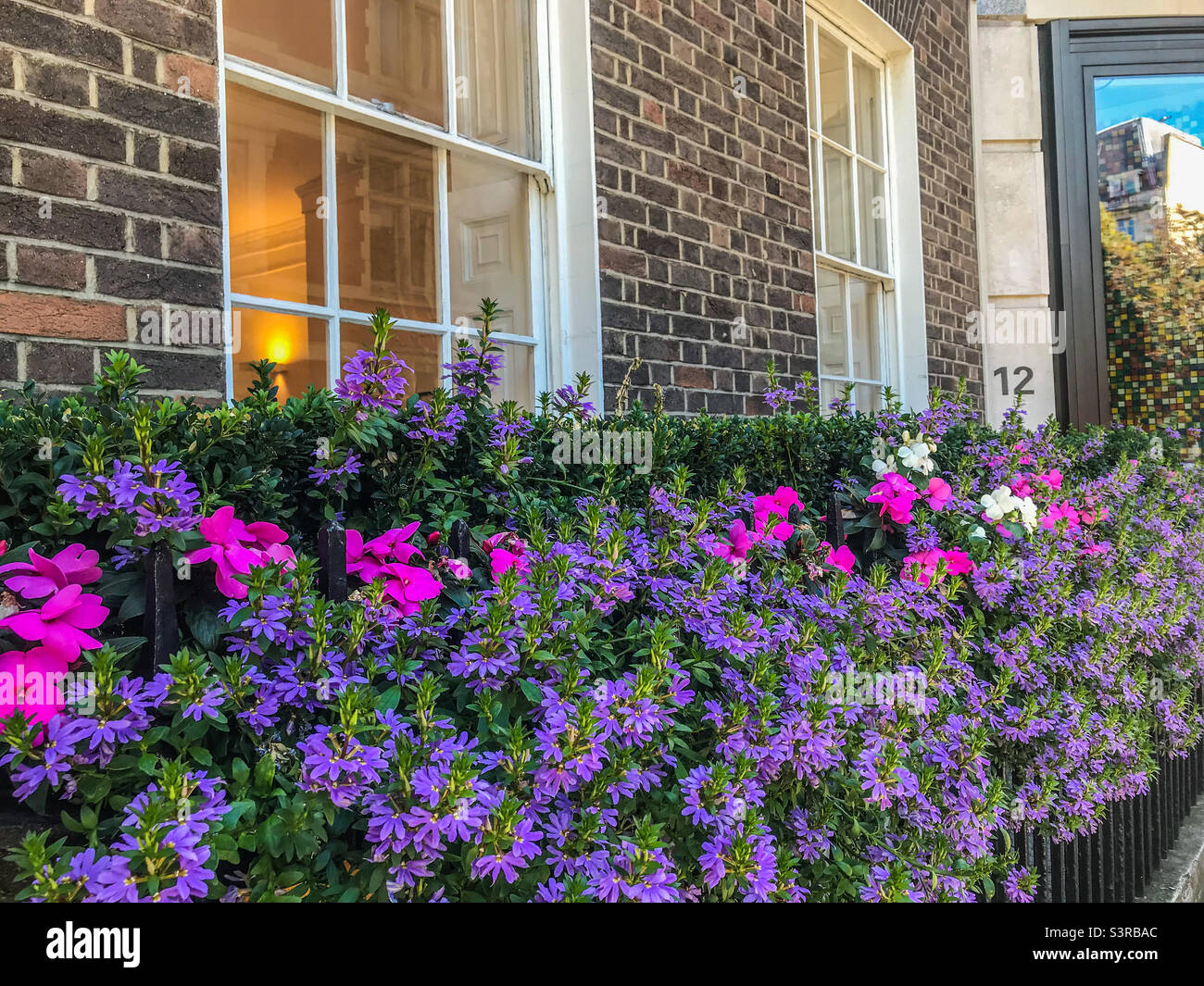 Flowers in bloom, London Stock Photo - Alamy