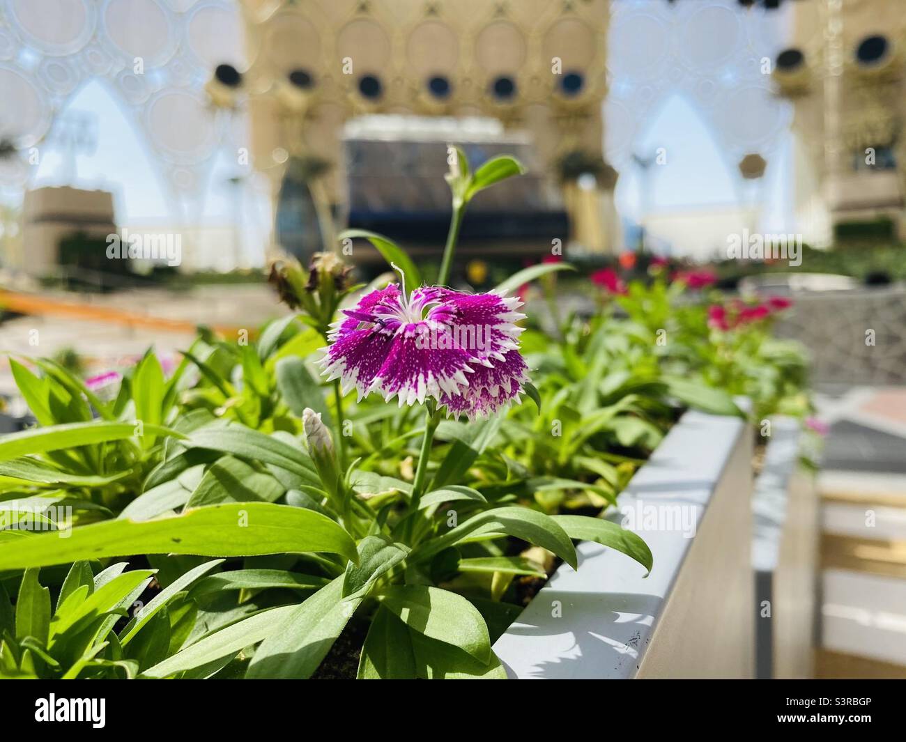Grass dome hi-res stock photography and images - Alamy