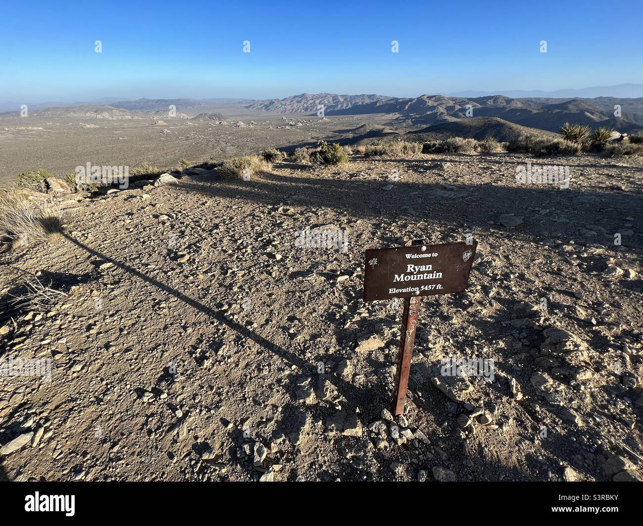 Joshua tree with mountain view hi-res stock photography and images - Alamy