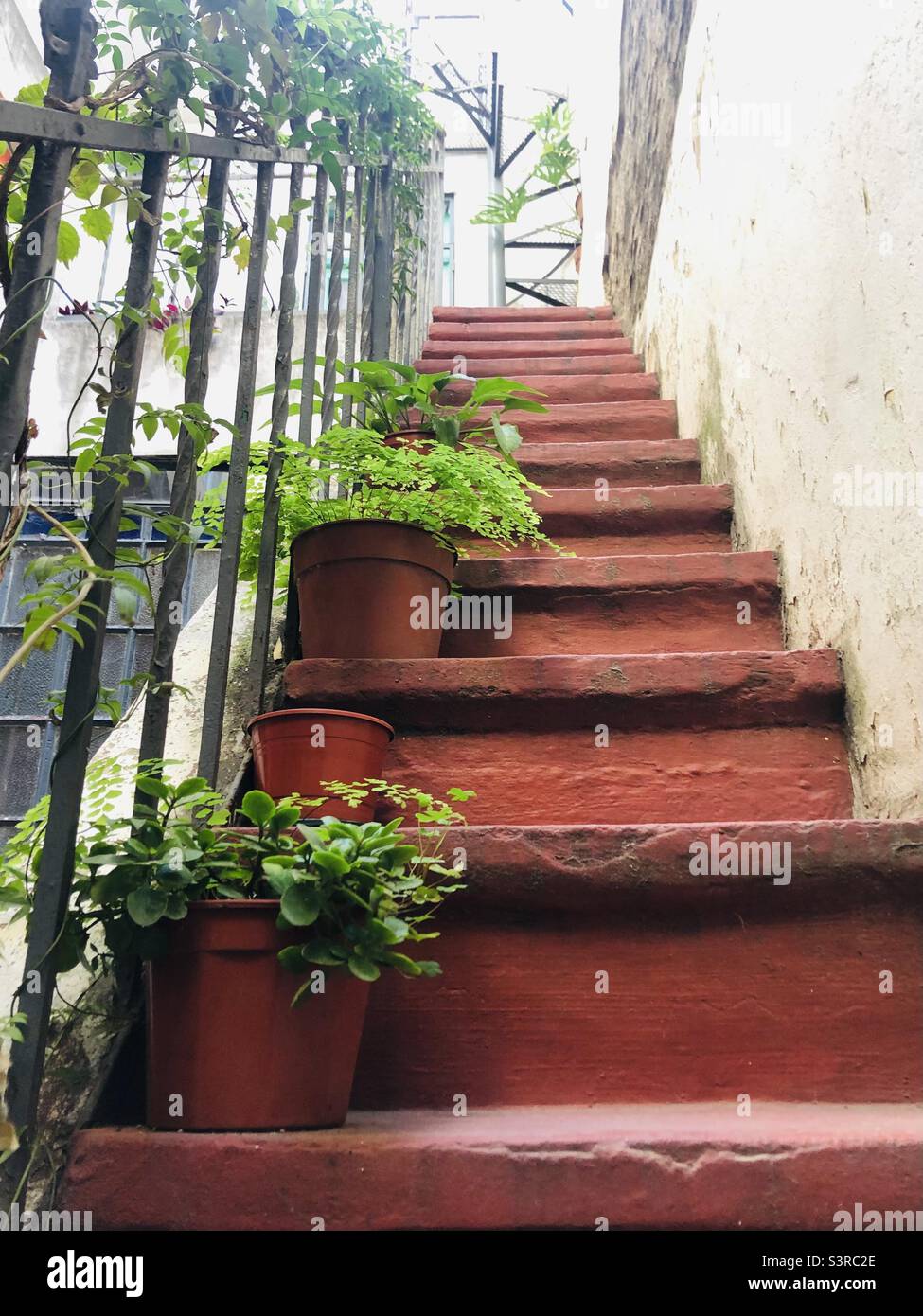 Red ladder hi-res stock photography and images - Alamy