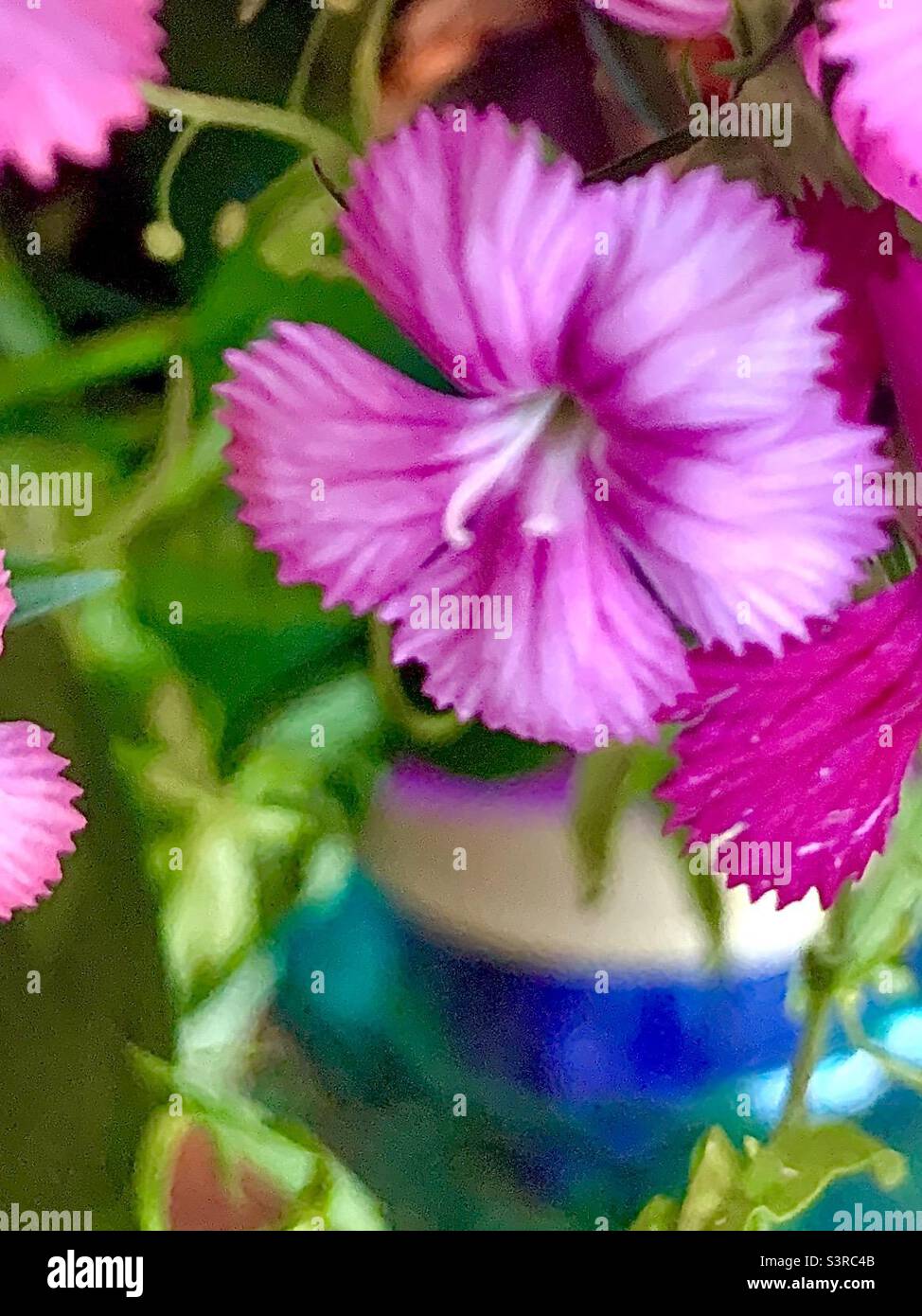Floral garden design hi-res stock photography and images - Alamy