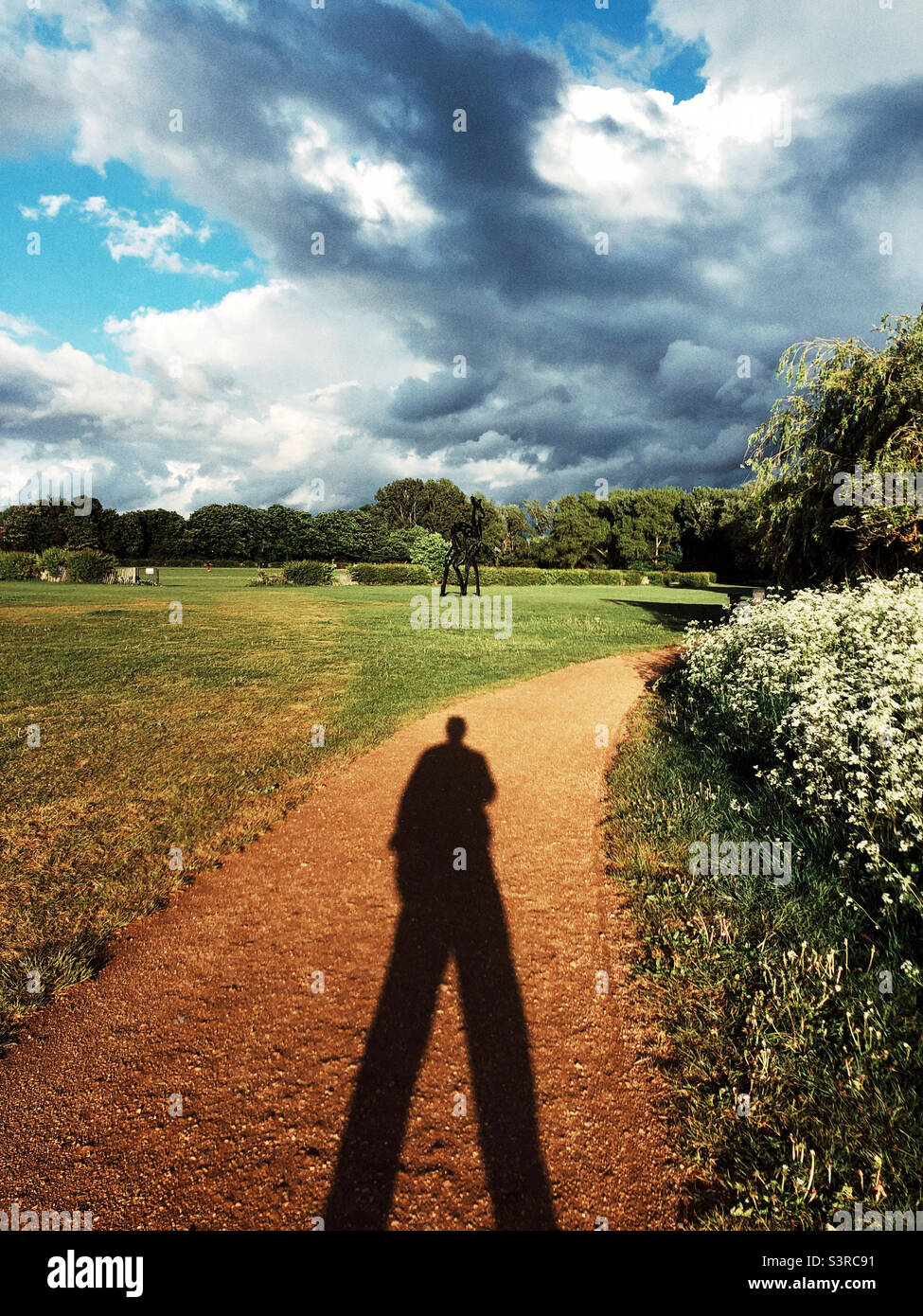 Shadow of a person in a park Stock Photo - Alamy