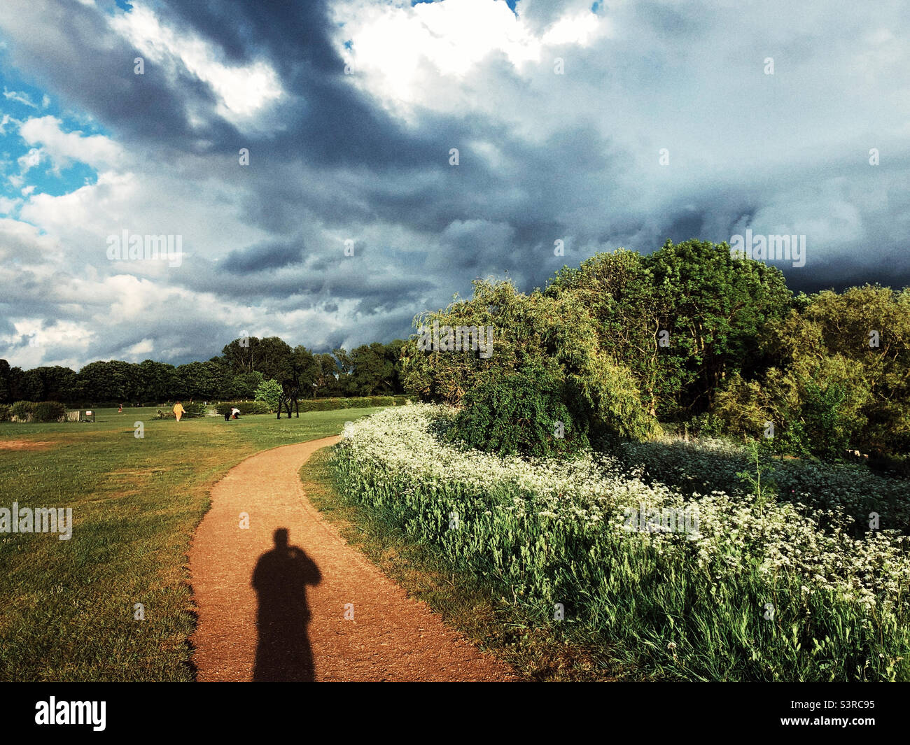 Shadow of a person in a park Stock Photo - Alamy