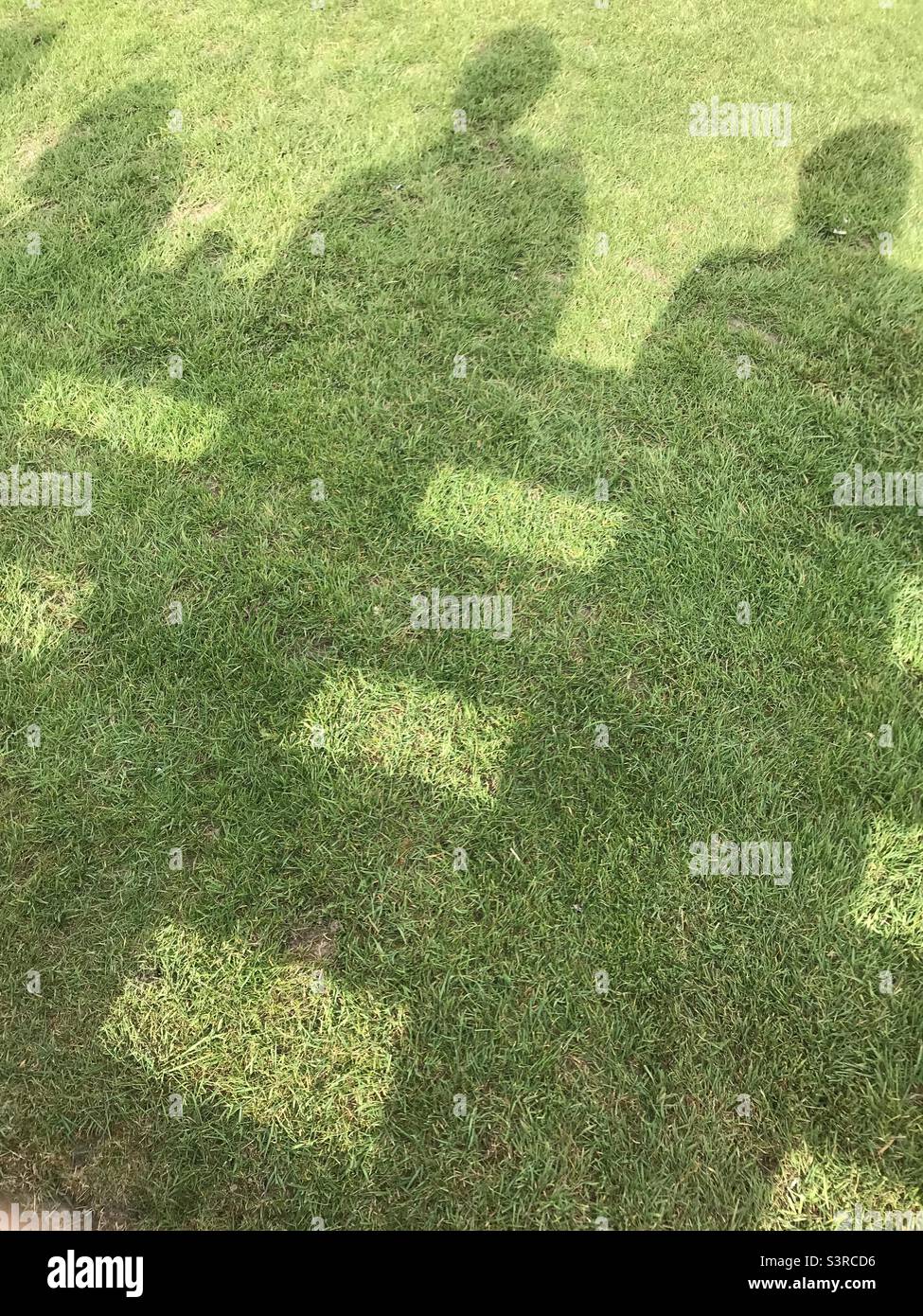 Spectator shadows hi-res stock photography and images - Alamy