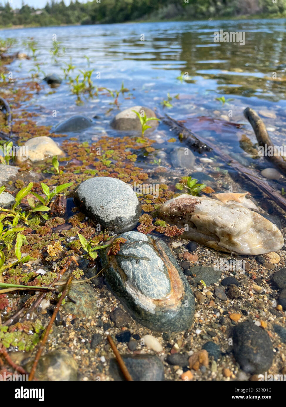 What’s on the river’s edge Stock Photo - Alamy