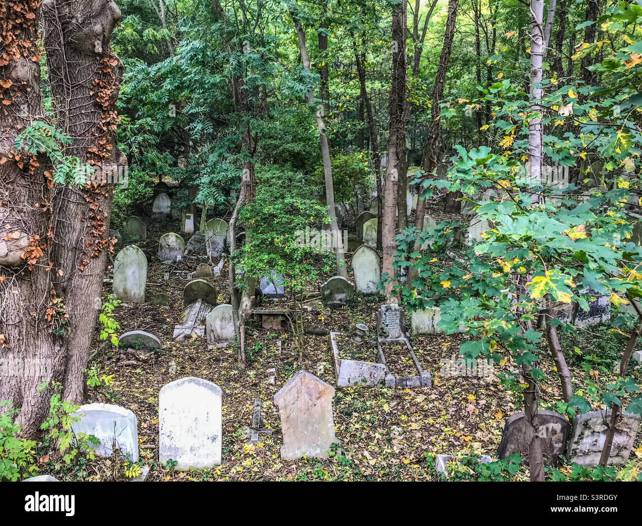 Highgate cemetery, London Stock Photo - Alamy